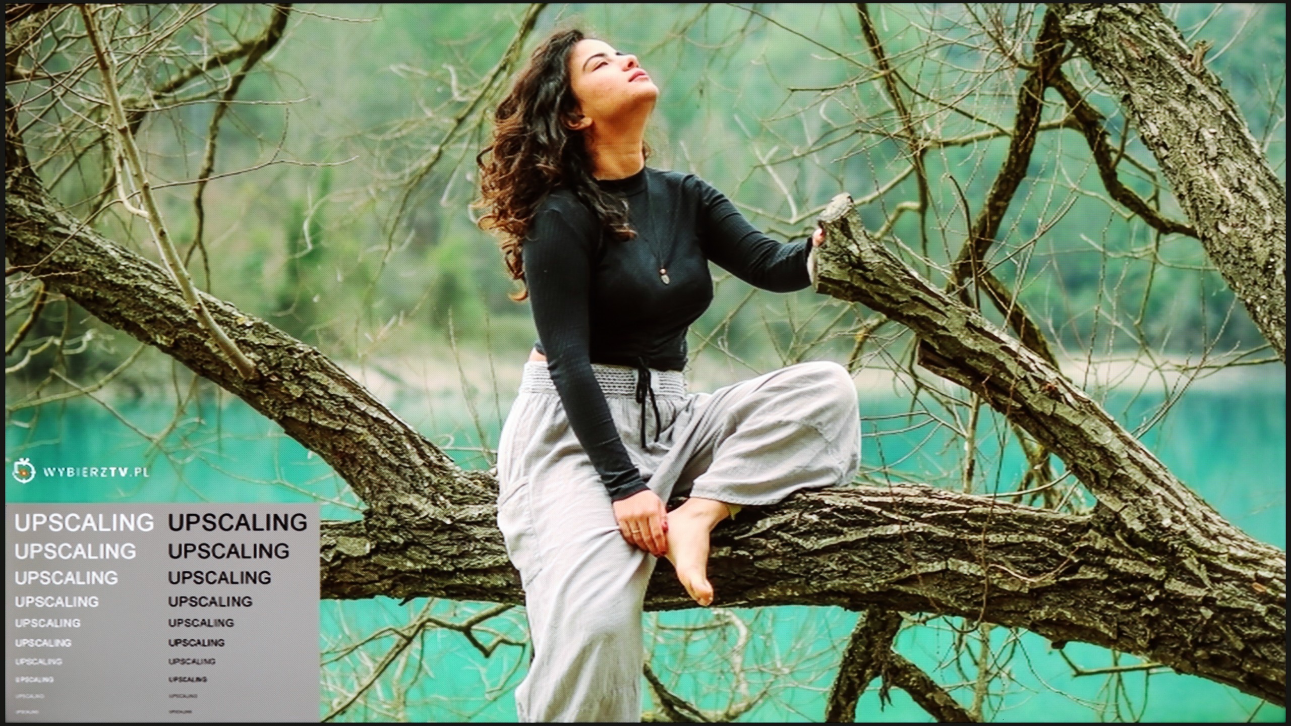 Compare LG UT8100 (IPS) vs TCL C6KS / C69KS / Q6CS